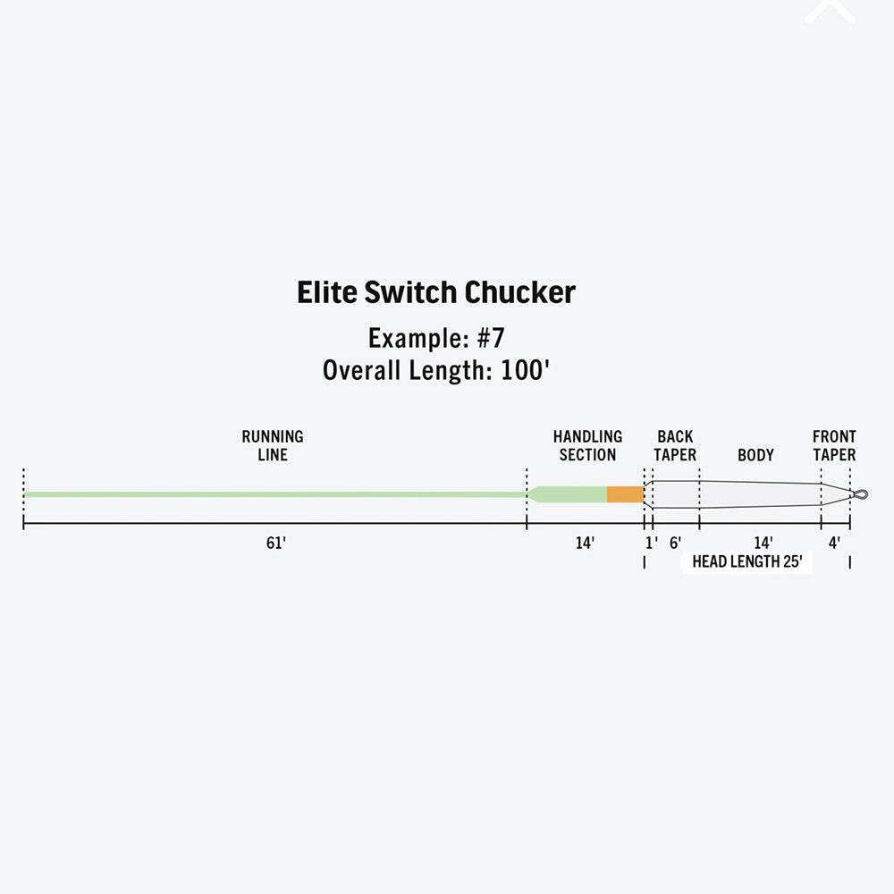 RIO Elite Switch Chucker | code di topo pesca mosca | garueshop.com